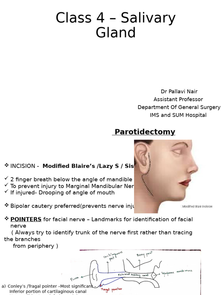 Facial Nerve Pointers in Parotid Surgery | PDF | Human Anatomy ...