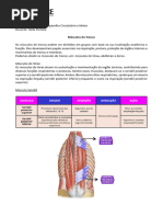 Anatomia dos Músculos do Tórax | PDF | Anatomia dos primatas | Sistema ...