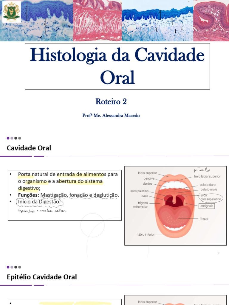 Roteiro 2 - Histologia Da Cavidade Oral 2 | PDF | Língua | Boca