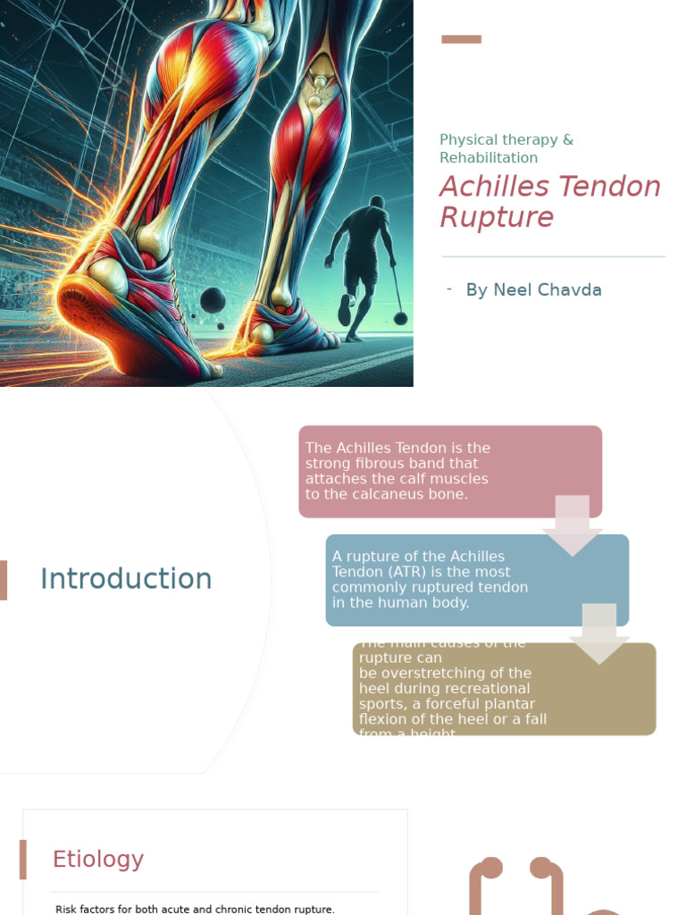 Achilles Tendon Rupture Guide | PDF | Foot | Lower Limb Anatomy