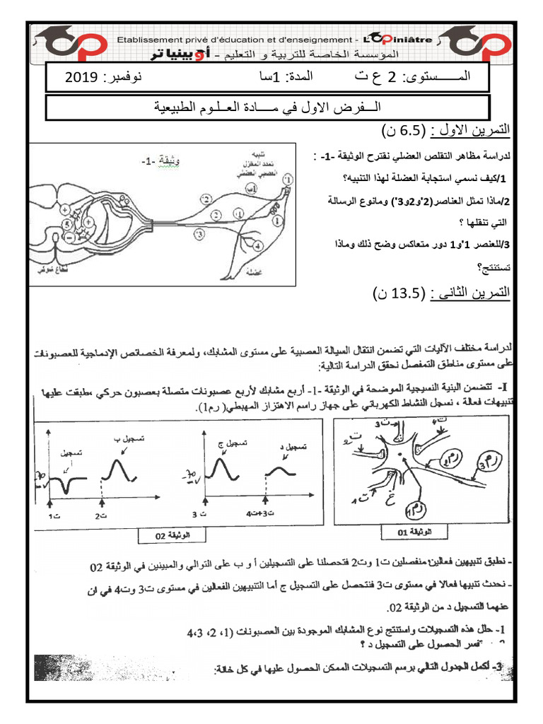 Dzexams 2as Sciences 1896027 | PDF