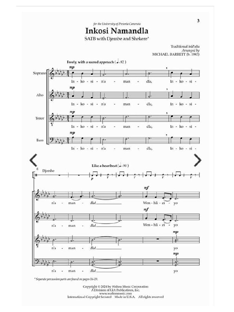 Inkosi Namandla | PDF