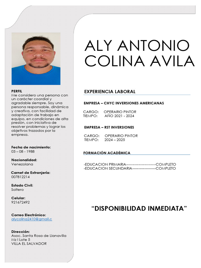 Aly CV | PDF | Información | Derecho laboral