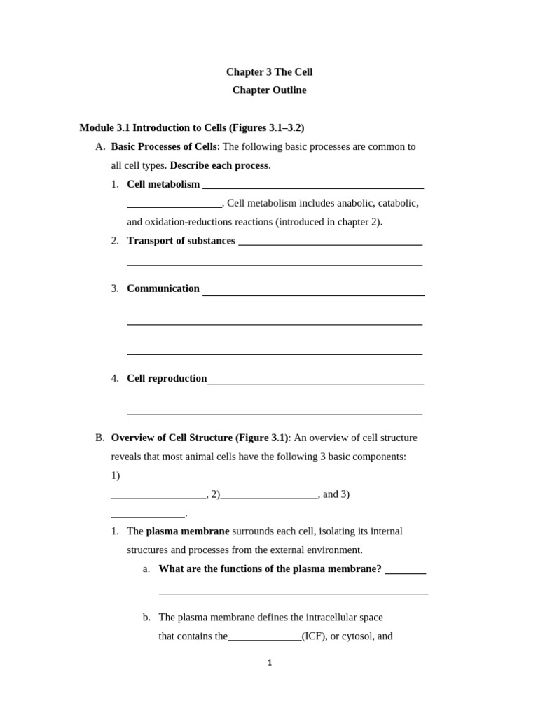 Chapter 3 Outline - The Cell | PDF | Endoplasmic Reticulum ...