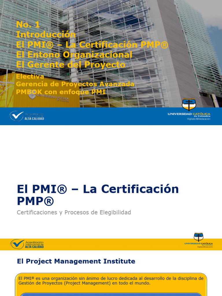 Certificación PMP®: Guía Completa y Requisitos | PDF | Gestión de ...