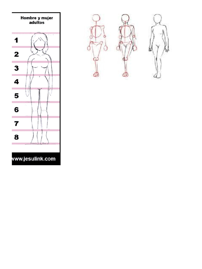 Boseto Del Cuerpo Humano | PDF