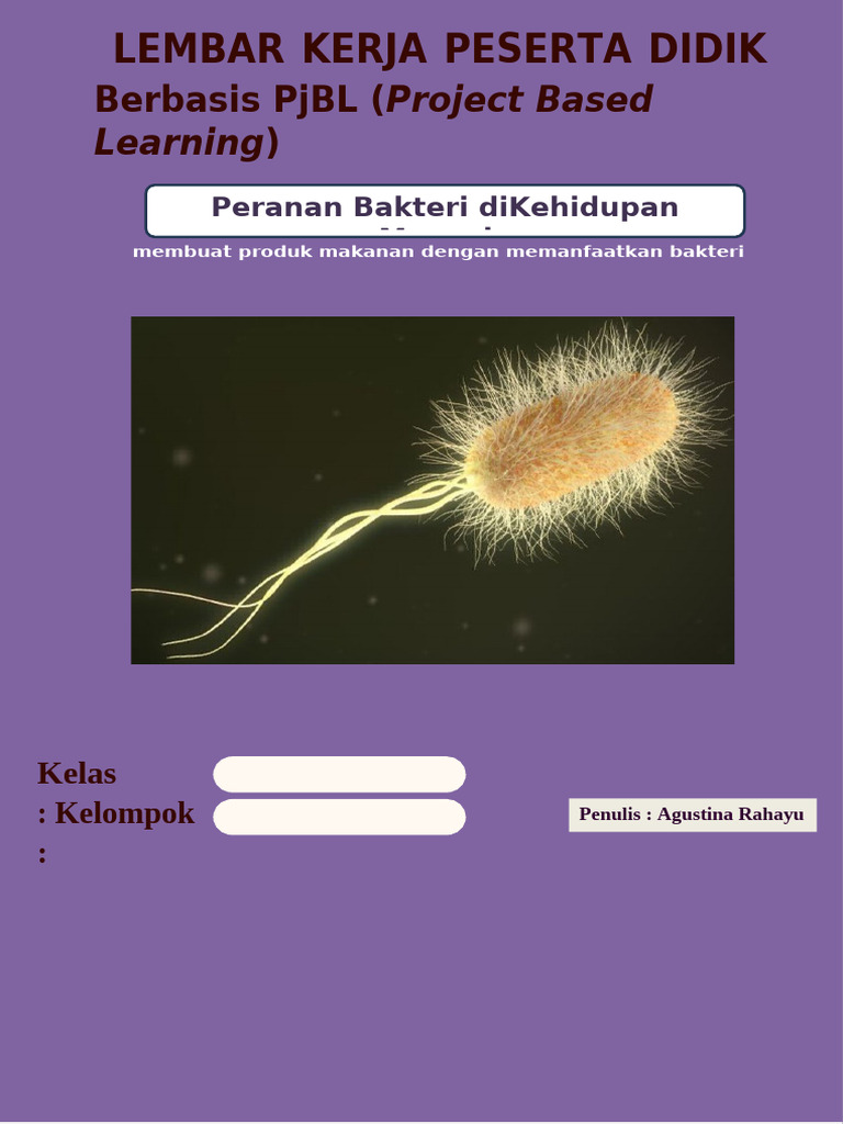 LKPD Fik | PDF