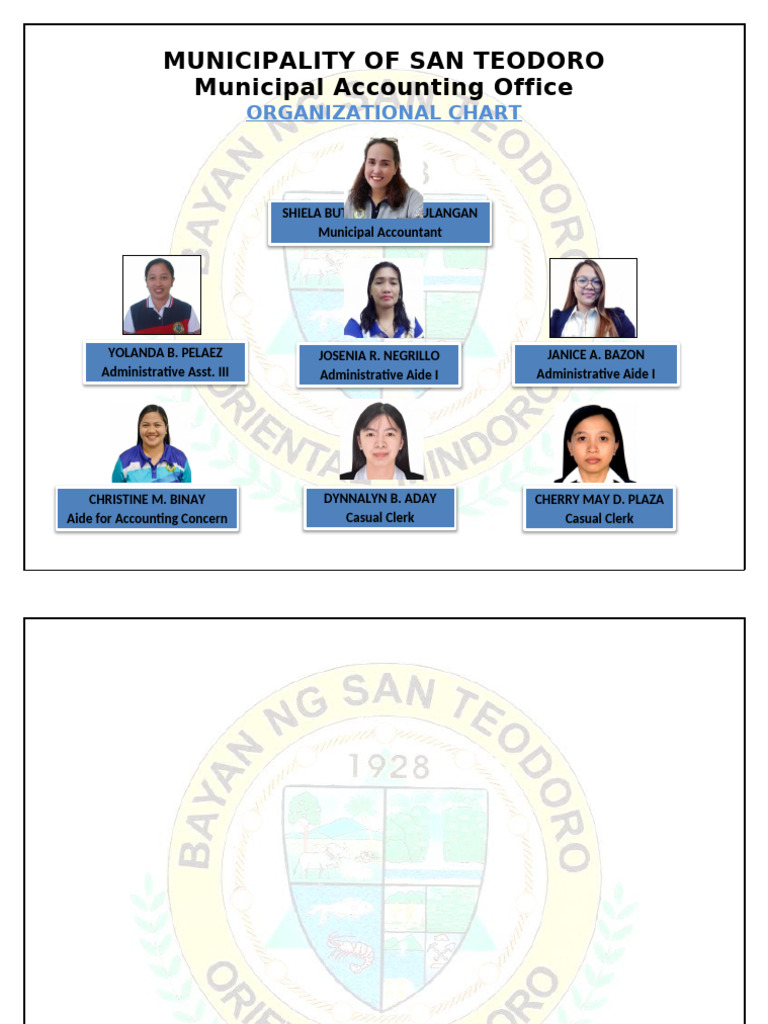 MUNICIPAL ACCOUNTING (Organizational Chart) | PDF