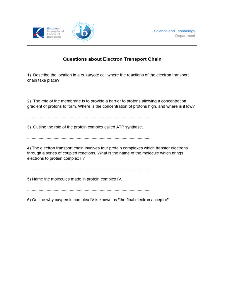 Còpia de C1.2 Questions Electron Transport Chain | PDF