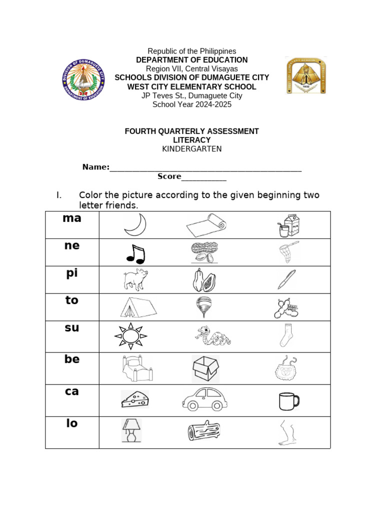Kindergarten Literacy Assessment Guide | PDF
