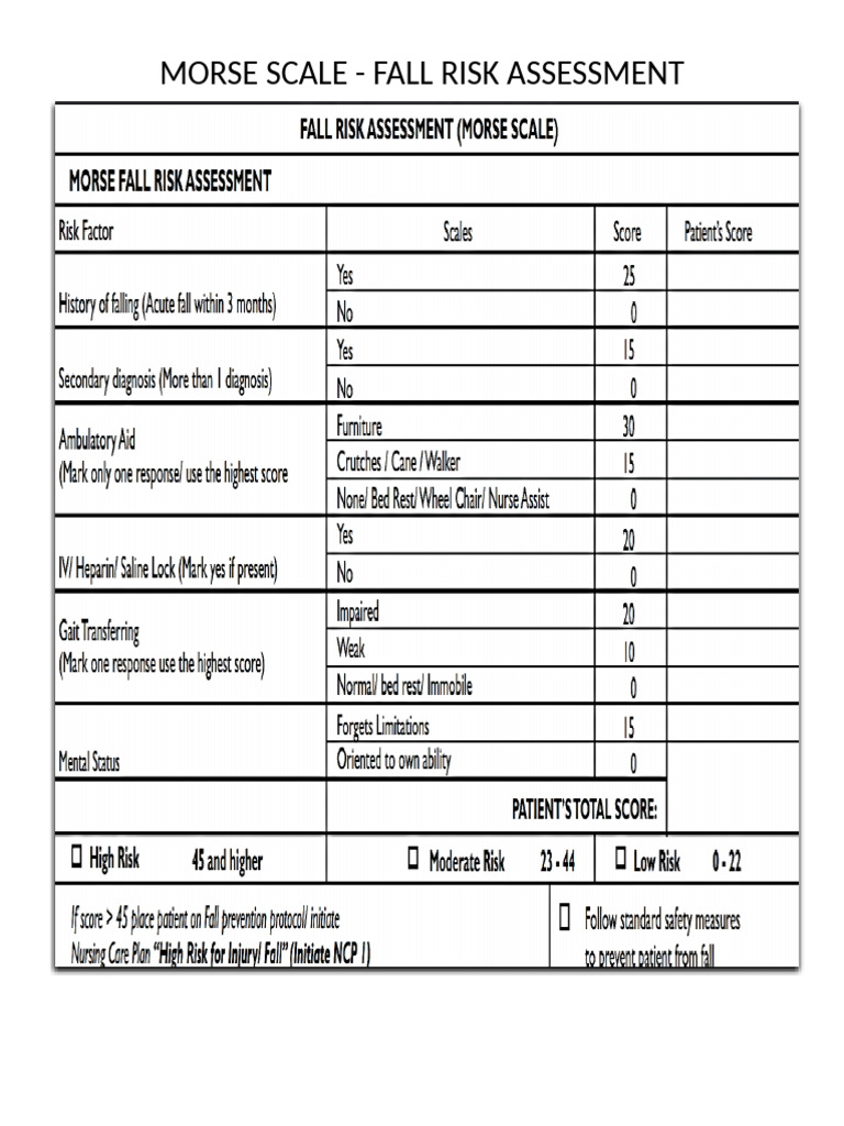 Fall Risk Scale | PDF