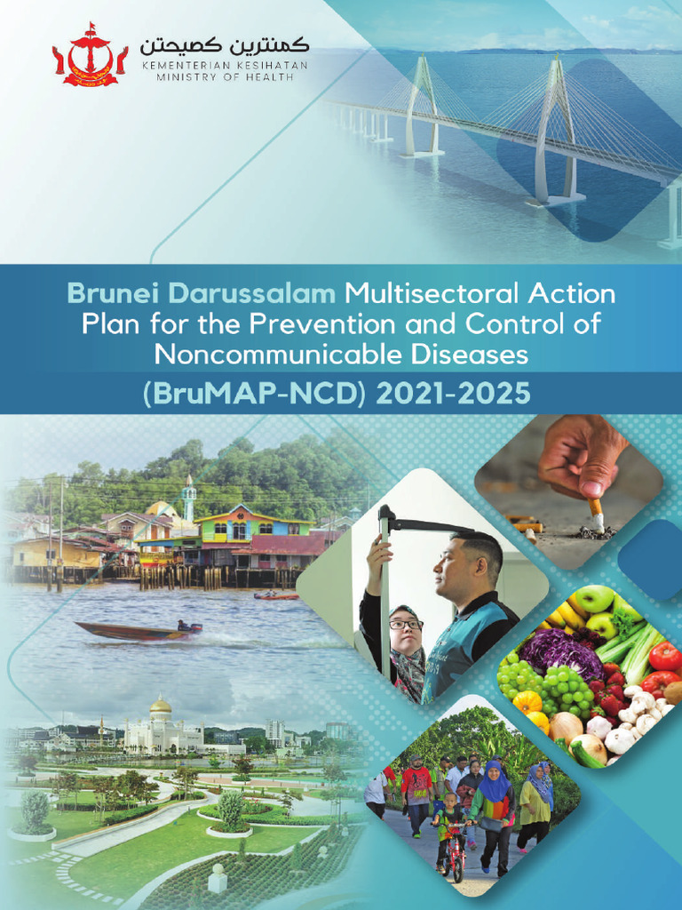 BRUMAP NCD 2021 - Compressed | PDF | Non Communicable Disease | Preventive Healthcare