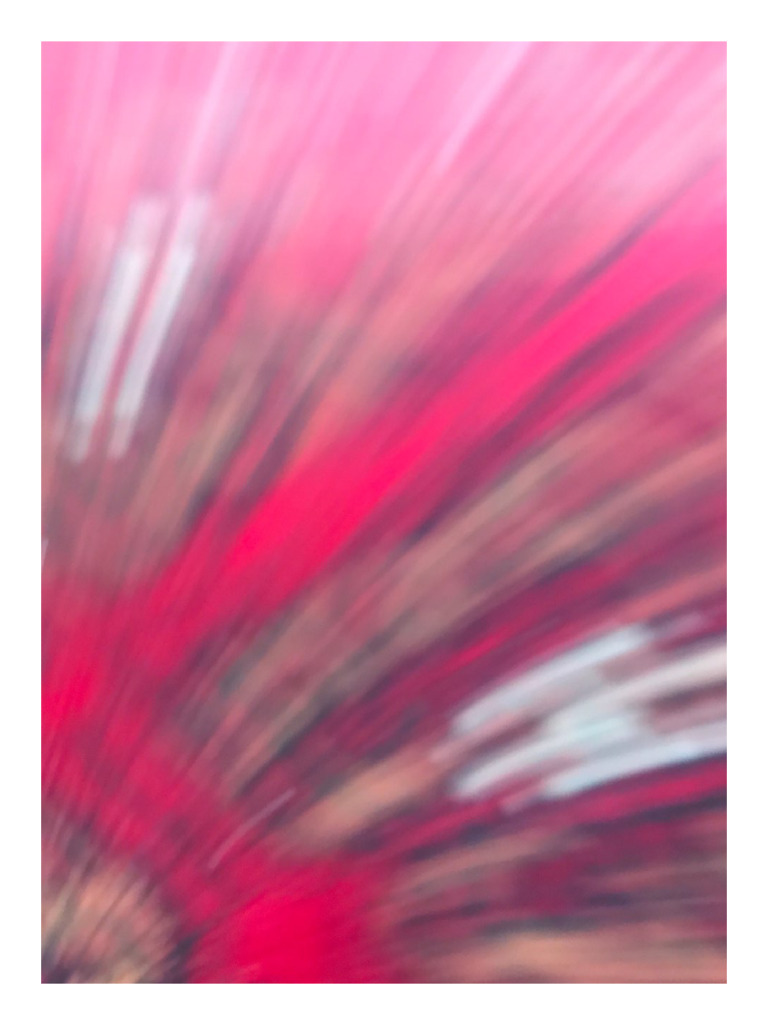 F004 Pdf 7116