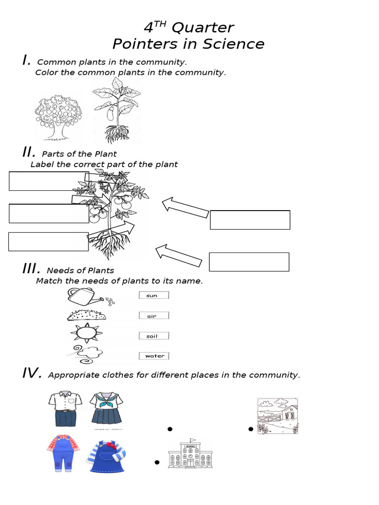 4TH Quarter Review Test in Science | PDF