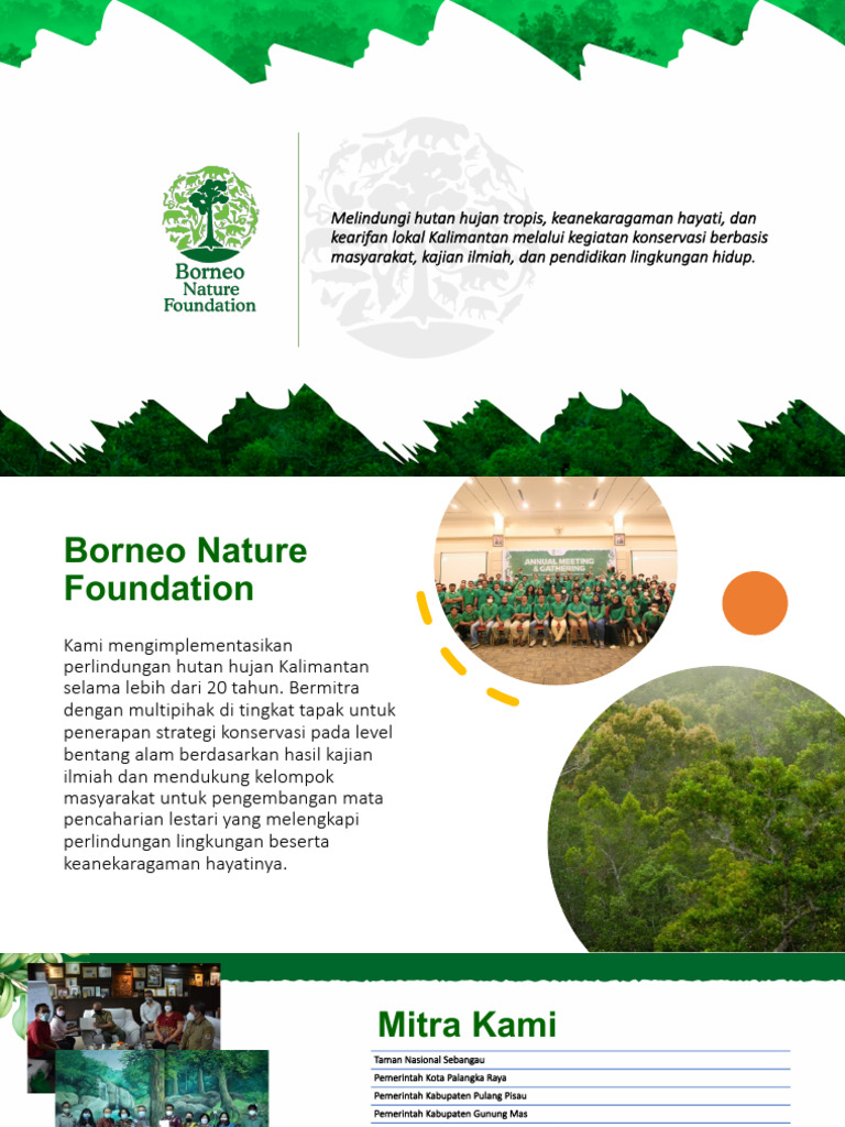 BNF Profile Indonesia | PDF