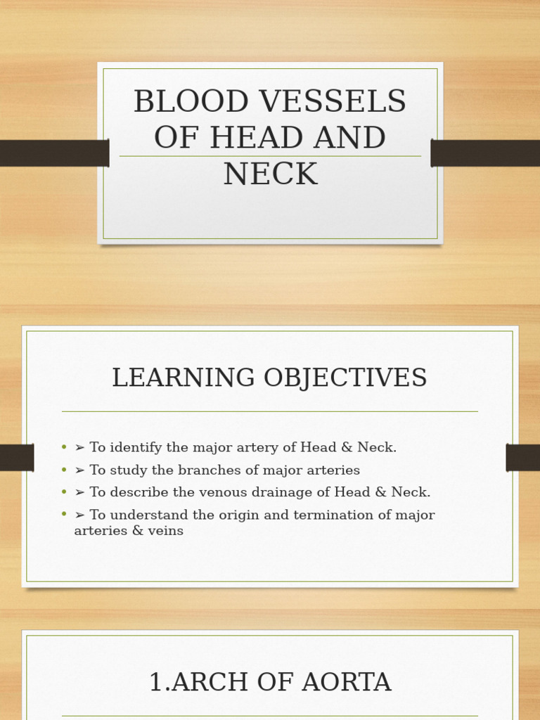 BLOOD VESSELS OF HEAD AND NECK | PDF | Aorta | Common Carotid Artery