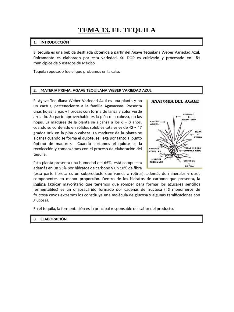 Tema 13. El Tequila | PDF