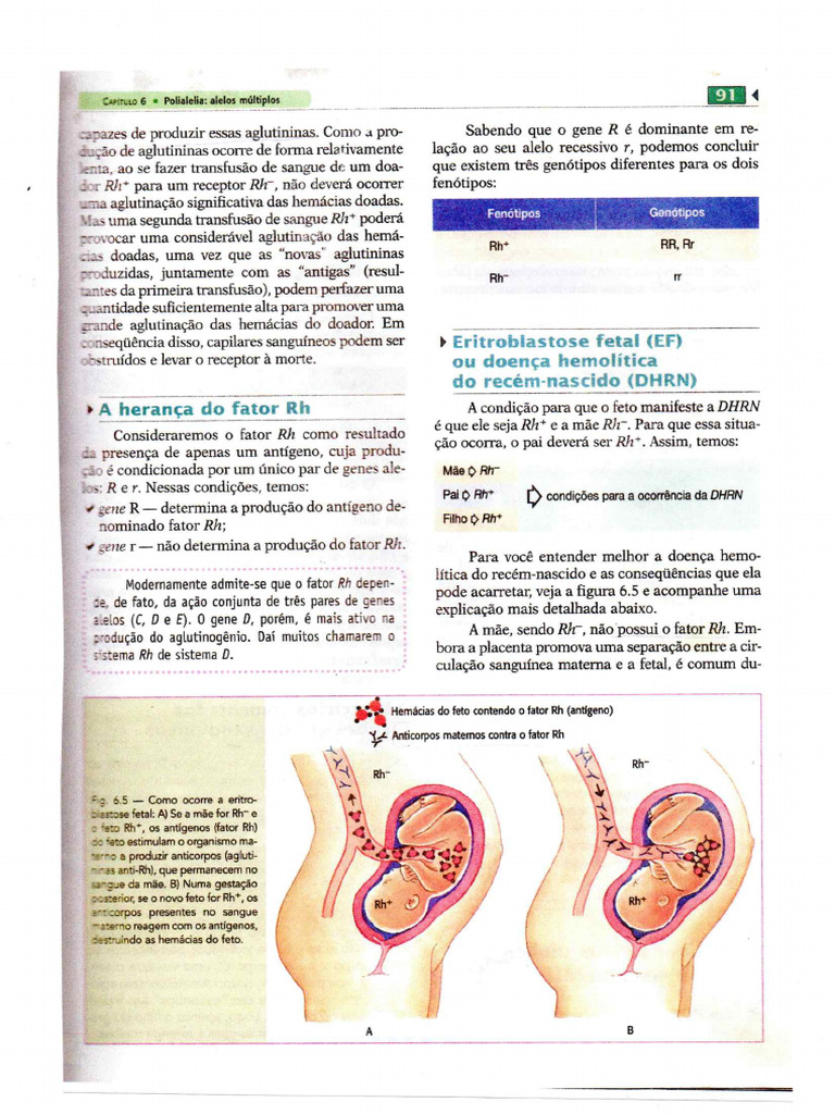 Bio 2 | PDF