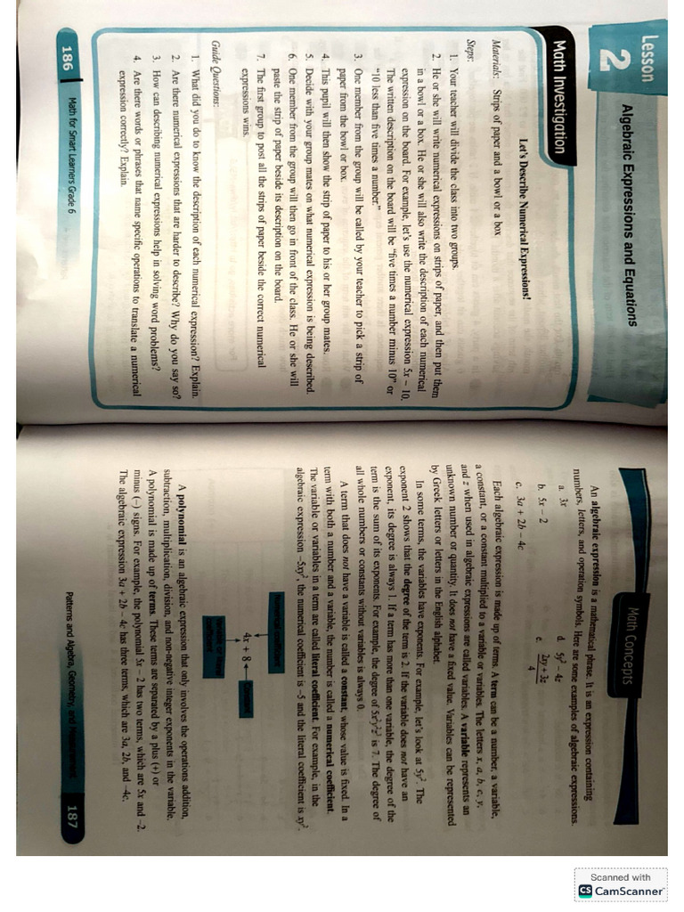 Lesson 2 Algebraic Expressions and Equat | PDF