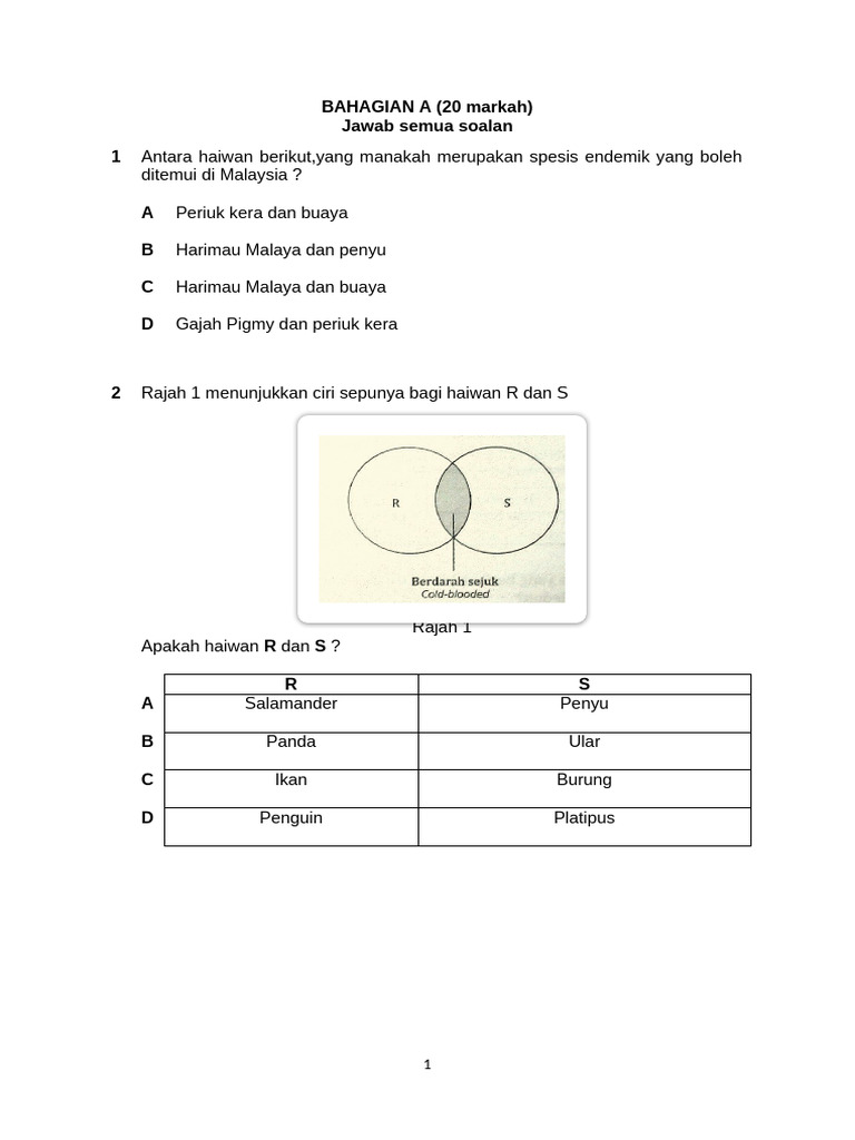 Ppsa Form 2 2025 | PDF