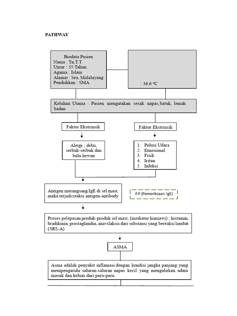 Patoflow Kasus Asma | PDF