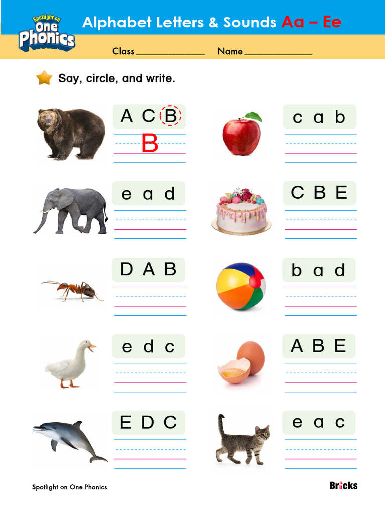 Spotlight On One Phonics - Worksheet - Alphabet Letters and Sounds ...