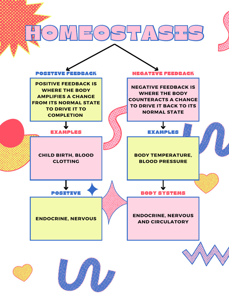 Understanding Homeostasis Mechanisms | PDF