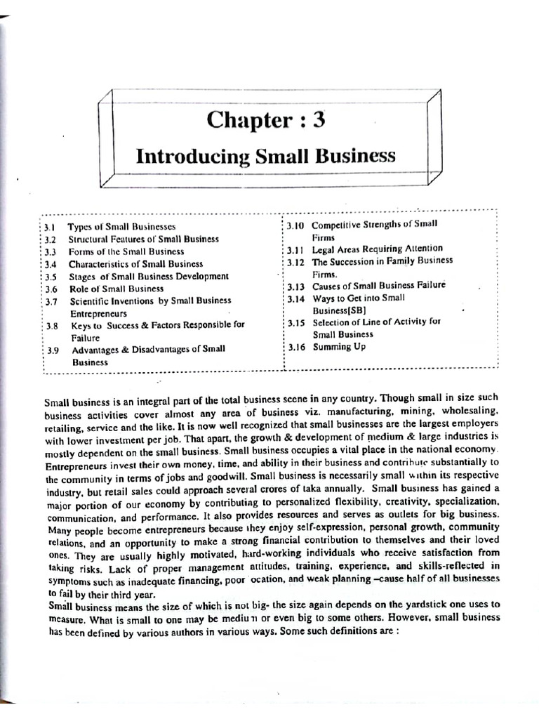Small Business | PDF
