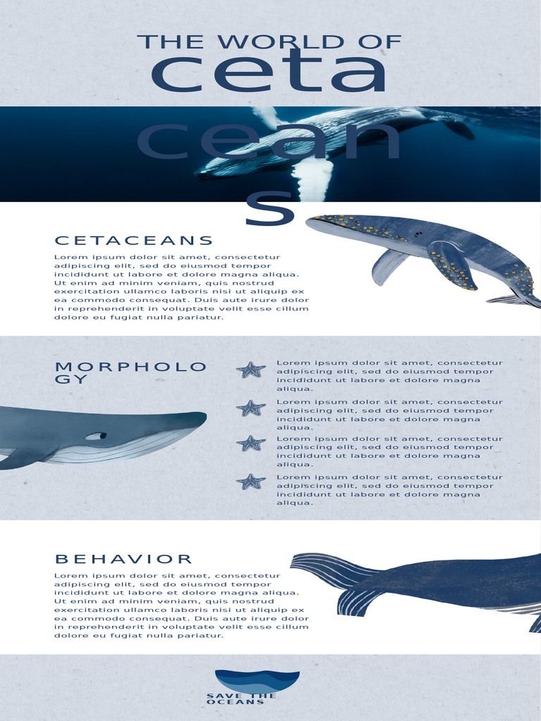 Blue Illustrated Ocean Whales Infographic | PDF