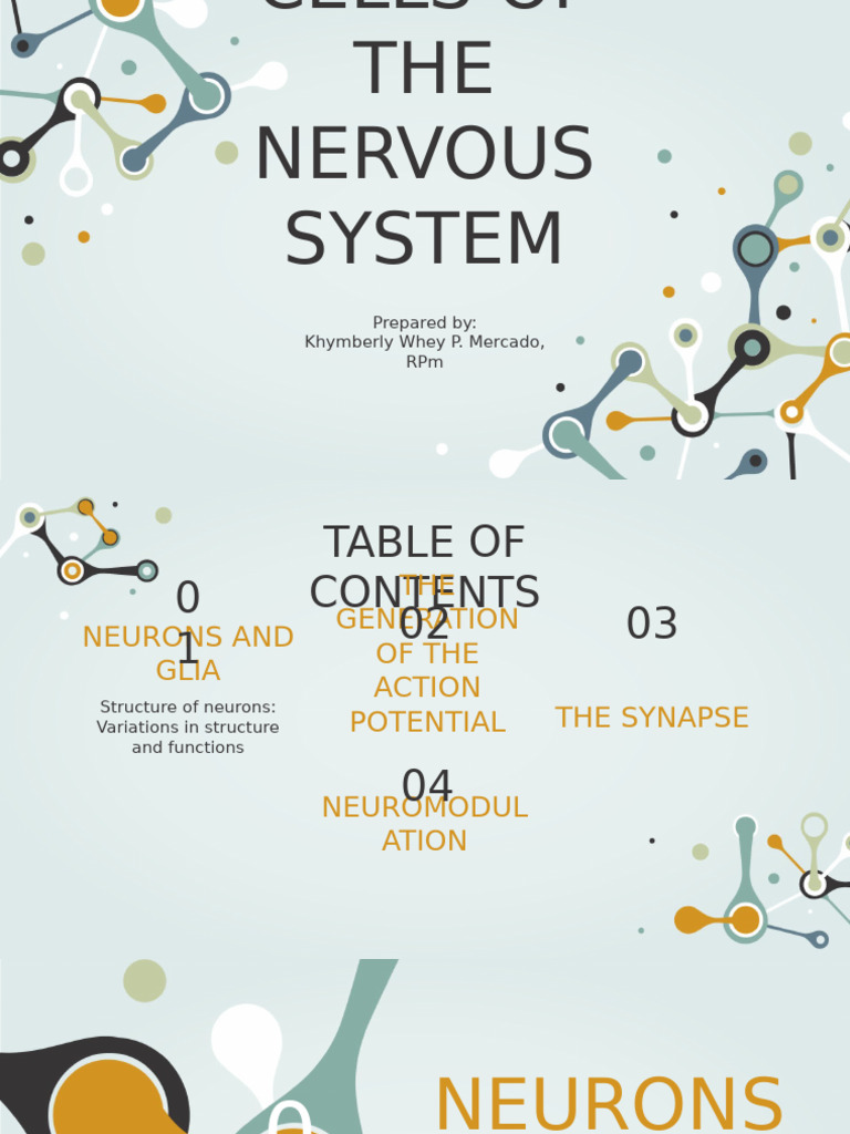 Lec 2 - Synapses, Neurons, and Action Potential | PDF | Chemical Synapse | Neuron