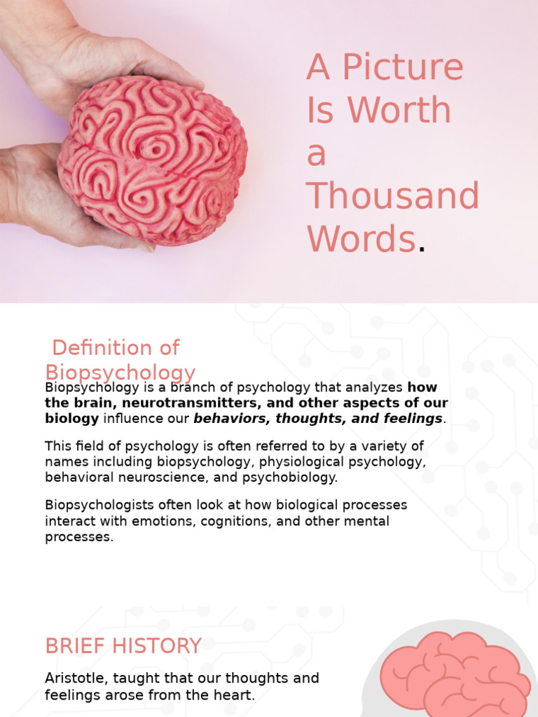 Lec 1 - Biological Foundations of Behavior | PDF | Behavioral Neuroscience | Neuroimaging