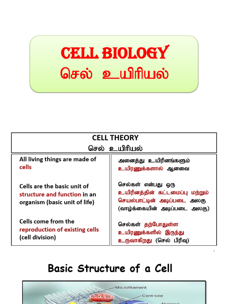100 Topics Sample Pages | PDF | Endoplasmic Reticulum | Cell (Biology)