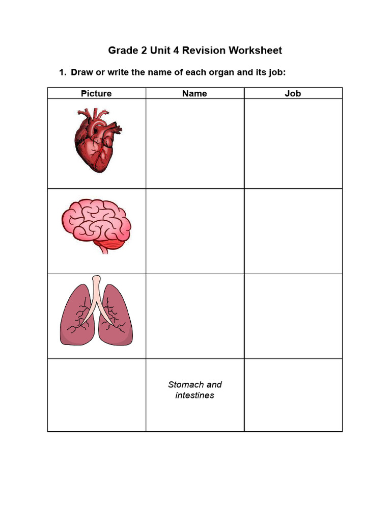 Grade 2 Unit 4 Revision Worksheet | PDF