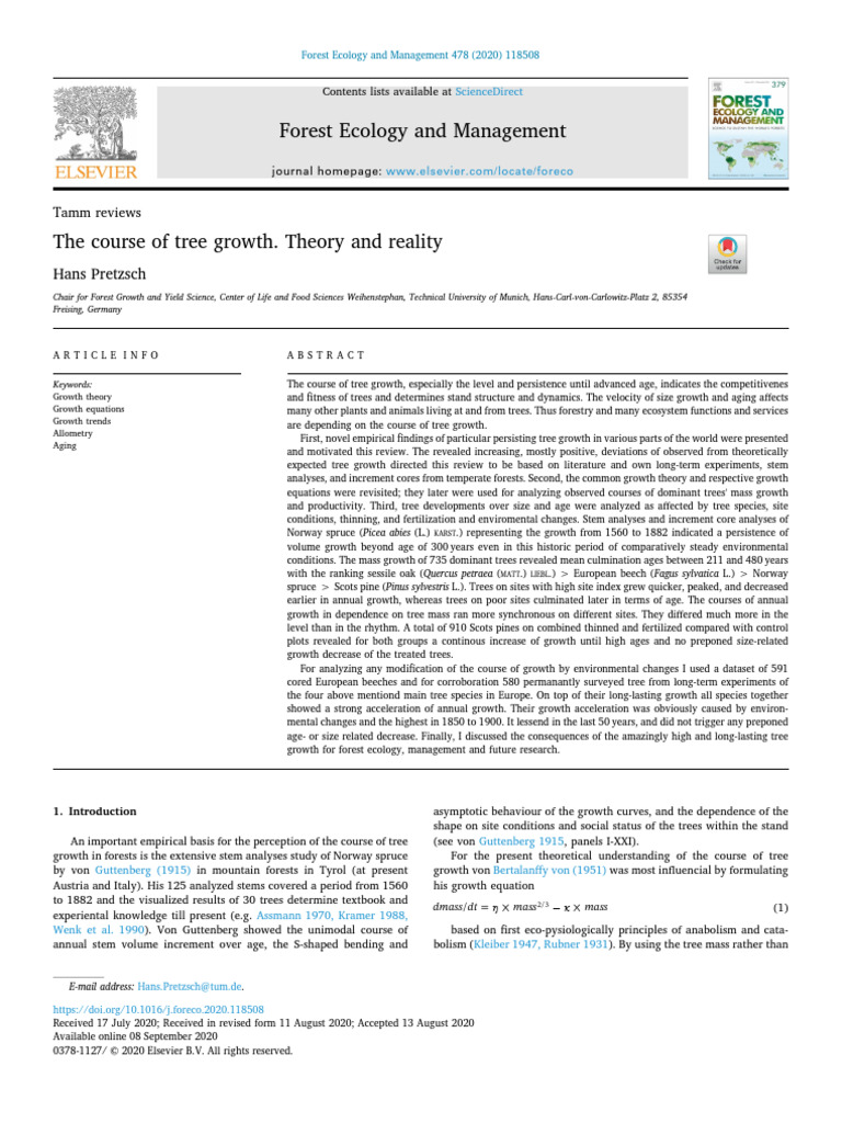 Tree Growth Dynamics and Influences | PDF | Trees | Forests