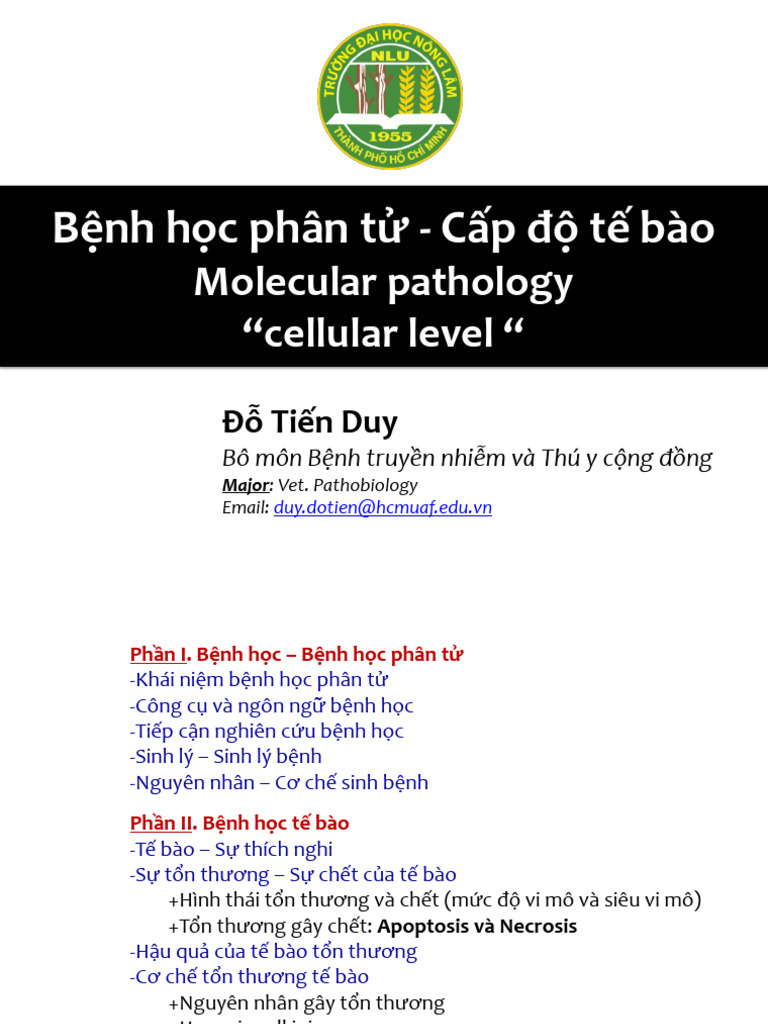 1 Molecular Pathology at Cell Level | PDF