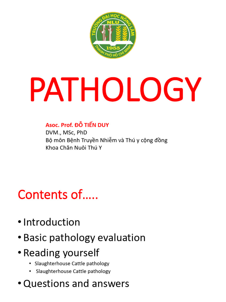 0 Vets Pathological Lesion in Animals | PDF