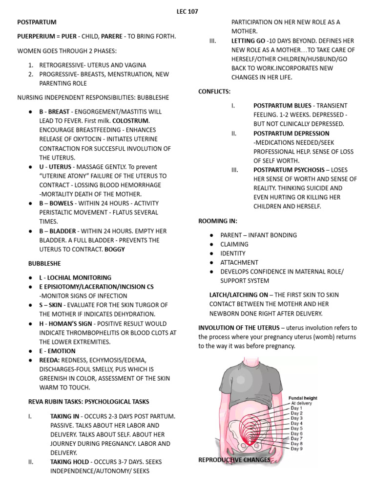 Postpartum Care and Newborn Adaptation | PDF | Medical Specialties