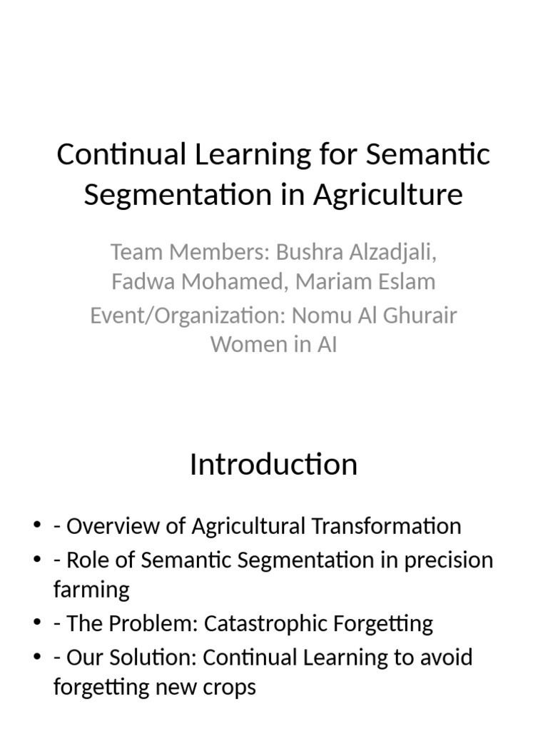 Continual_Learning_Semantic_Segmentation_Presentation | PDF | Image Segmentation | Artificial ...