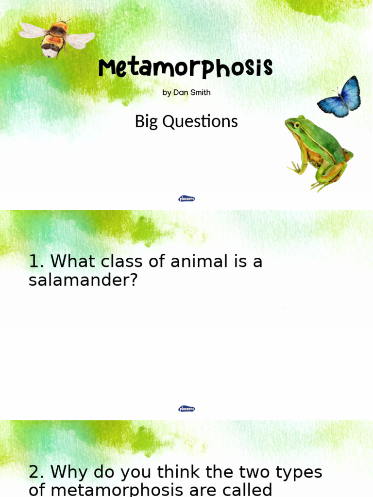 Animal Metamorphosis Questions | PDF