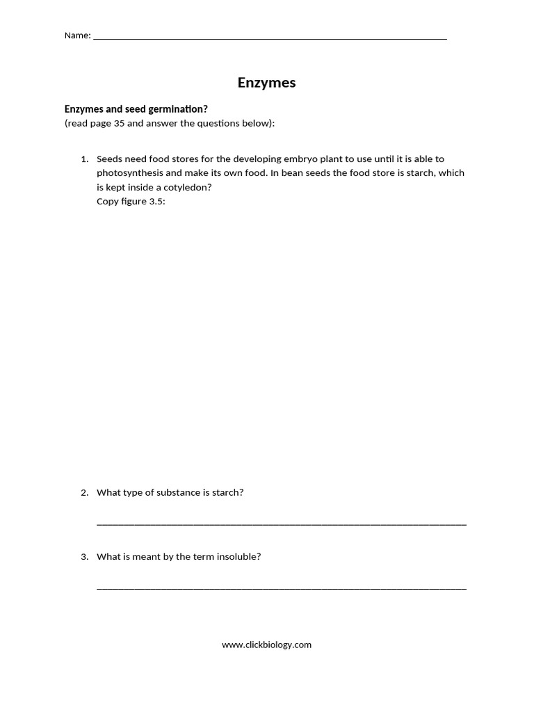 Enzymes in Seed Germination | PDF