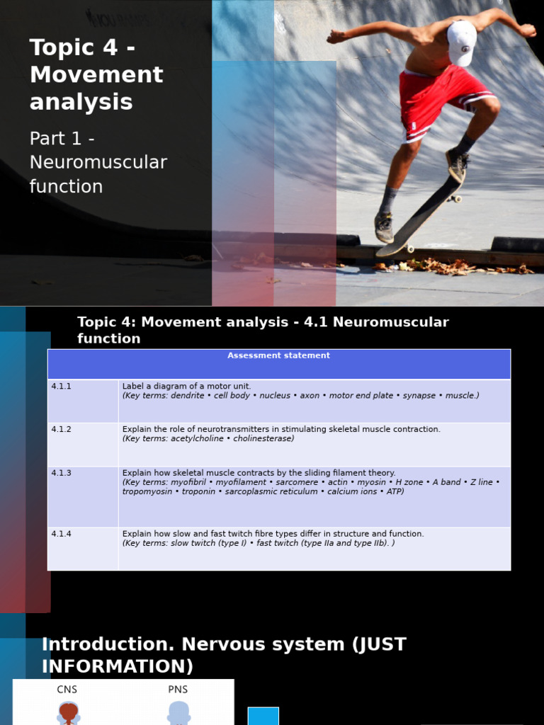Topic 4 - Part 1 - Neuromuscular Function | PDF | Motor Neuron | Muscle Contraction