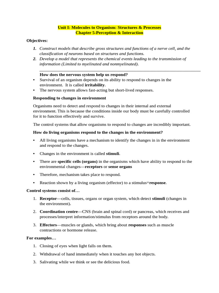 Chapter 5. Perception and Interaction | PDF | Synapse | Chemical Synapse