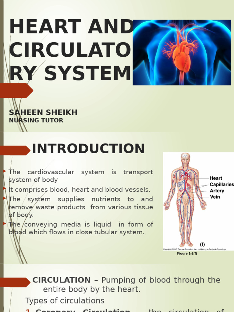 Circulatory System (Heart) | PDF | Heart Valve | Atrium (Heart)