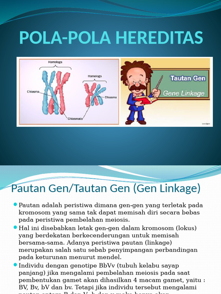 2. Pola-pola Hereditas | PDF
