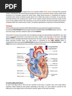 The Blood Circulation Flow Chart | PDF
