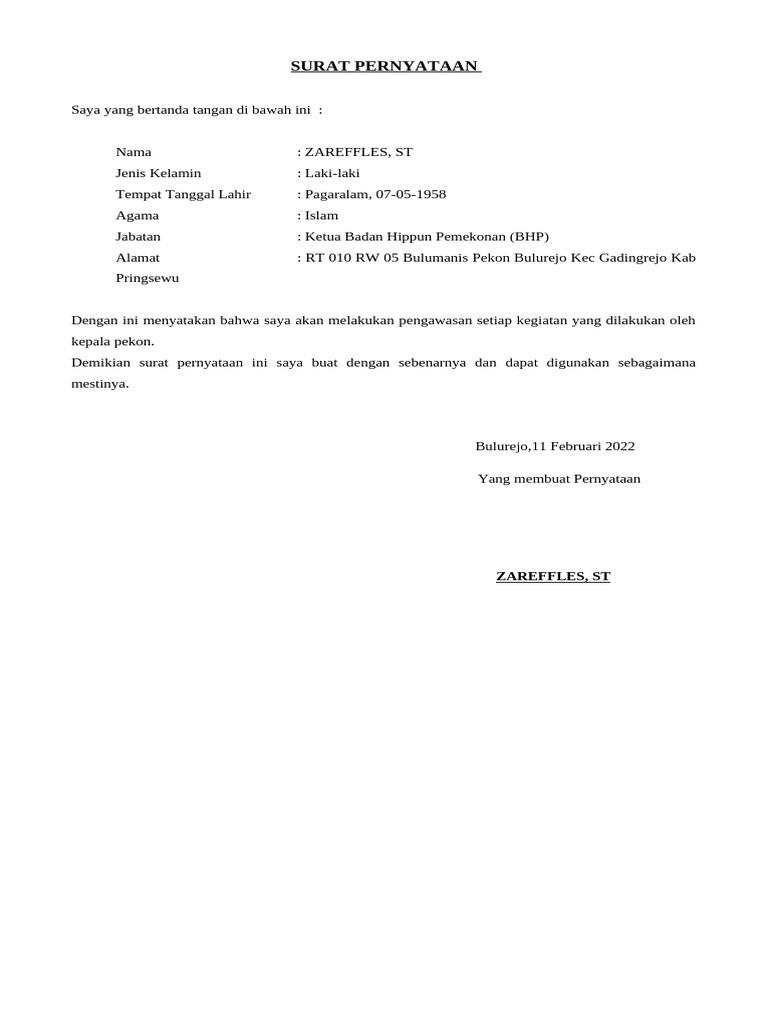 Surat Pernyataan Belum Pernah Buat Akte Kelahiran | PDF