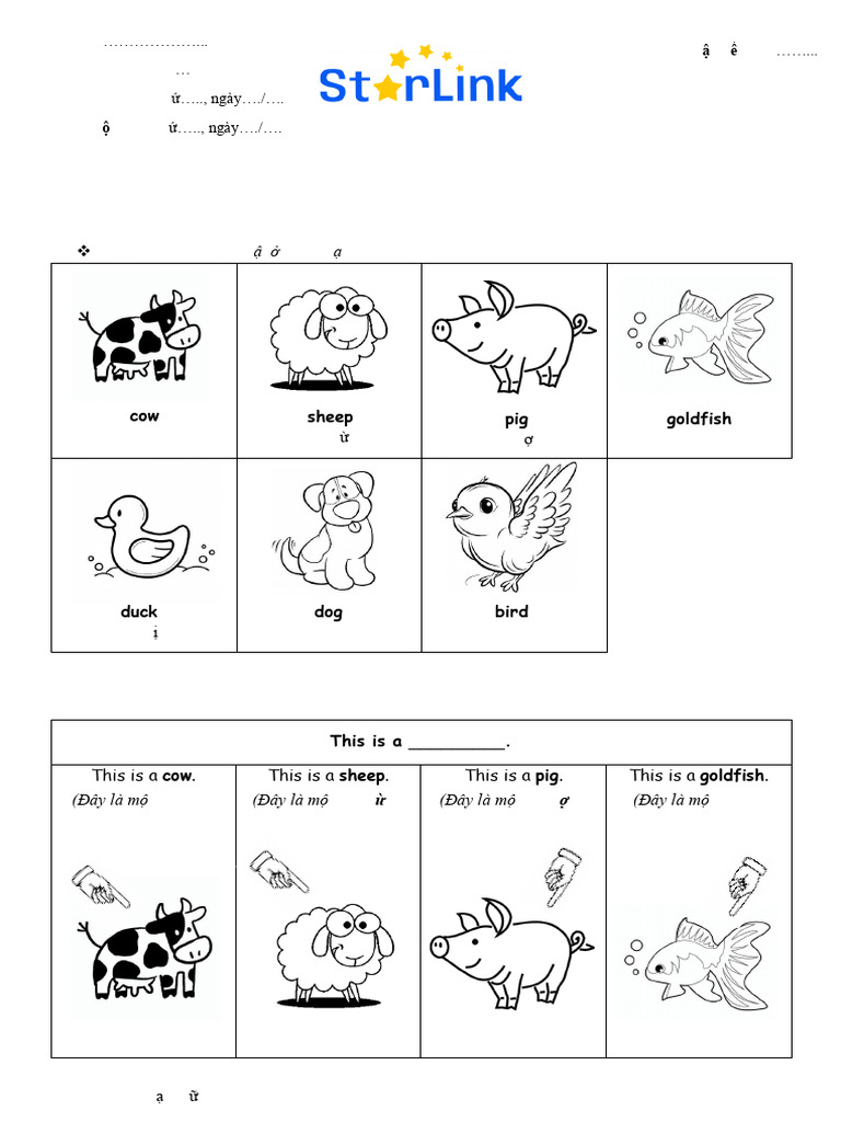 Lesson 1 - Prestarters - W1 - U1 - Vocabulary 1 & Grammar 1 | PDF