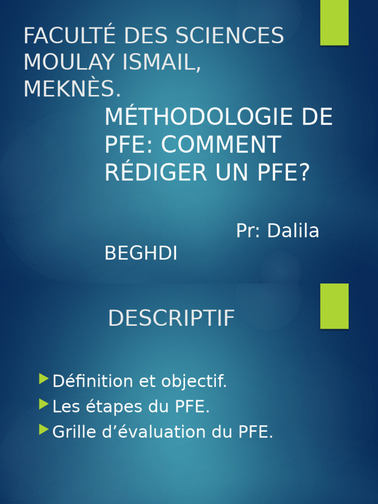 Les Étapes Pfe | PDF