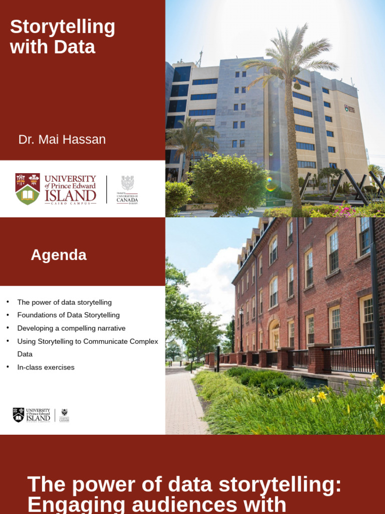 MCS 4210 - Storytelling With Data | PDF | Narrative | Storytelling