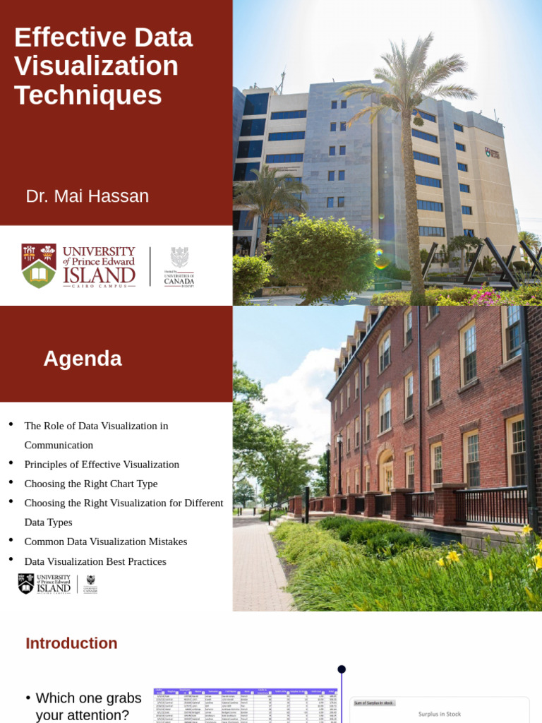 MCS 4210 - Effective Data Visualization Techniques | PDF | Histogram | Chart